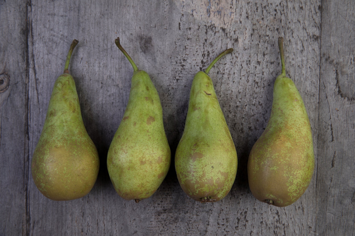CONFERENCE PEARS (EACH) – Your Local Greengrocer